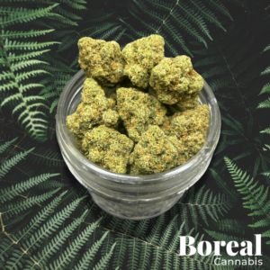 Boreal Cannabis